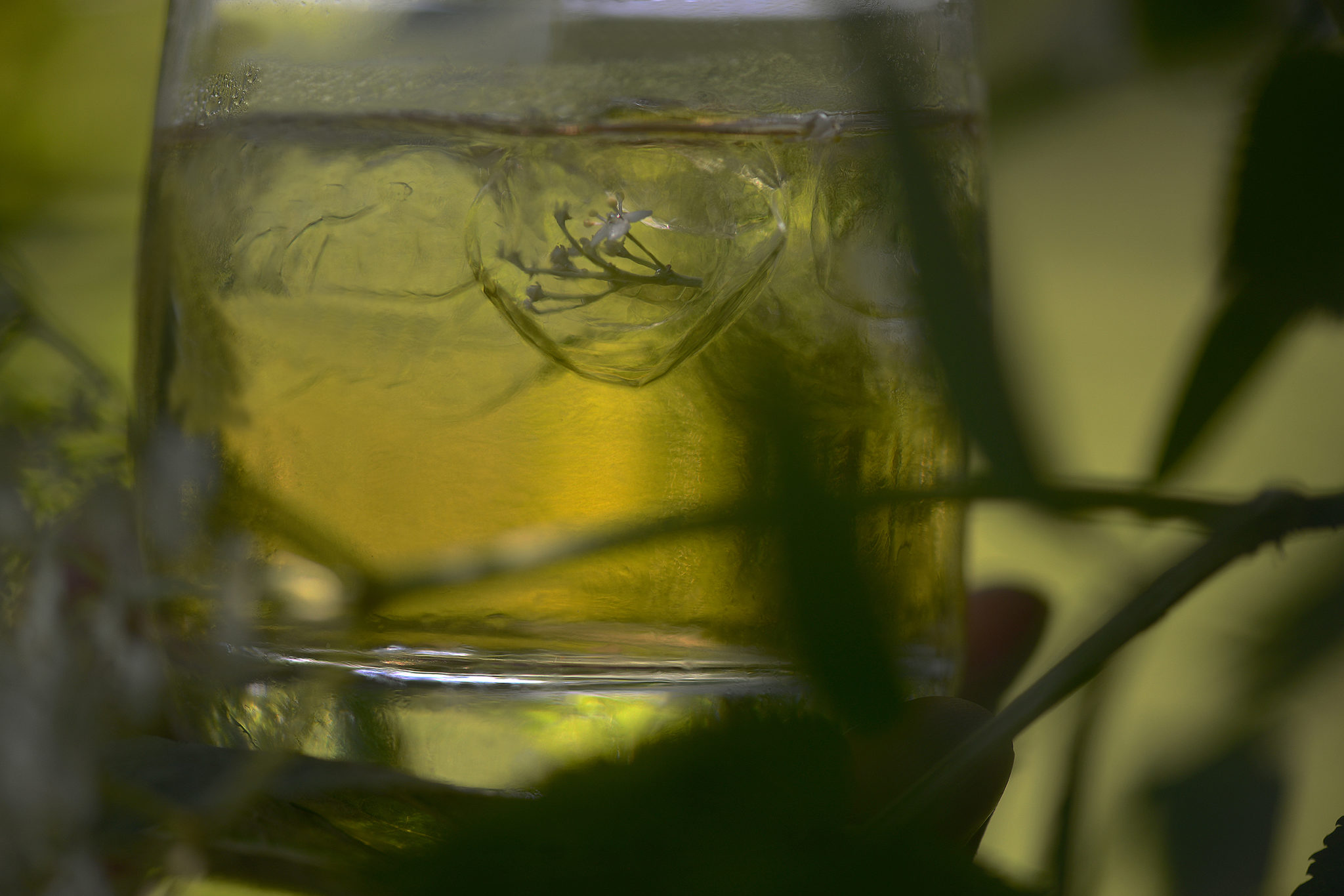 RoomeR, gin, munt en frambozen - Terroir