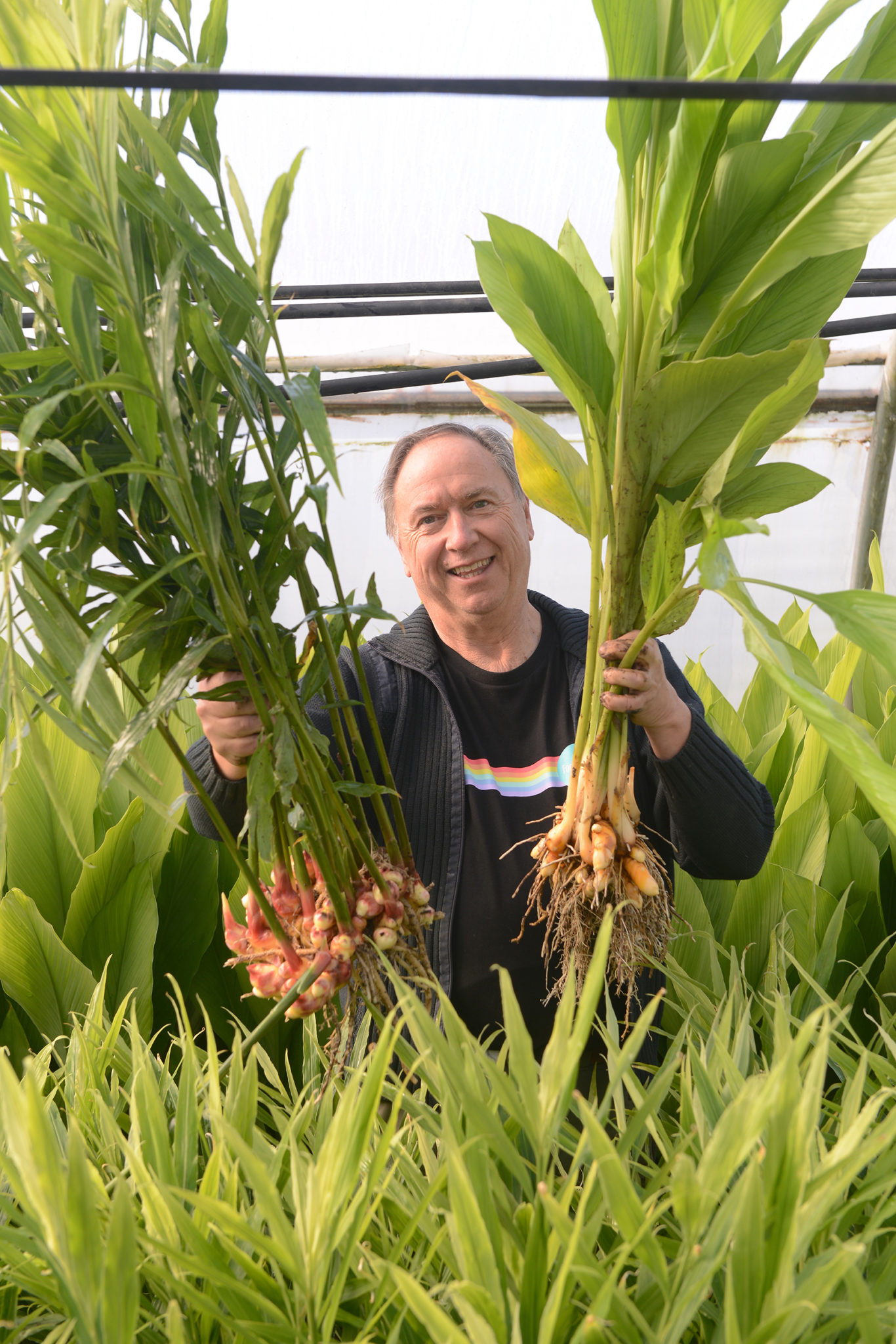 Belgische gember - Terroir